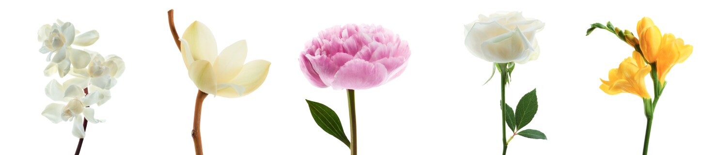 New perfumes L'Eau d'Issey Pivoine & L’Eau d’Issey pour Homme Vétive ...