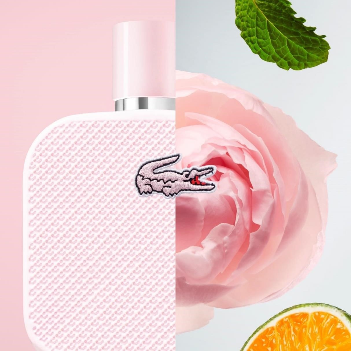 Makeup, Perfumes, Skin care | Hondos Center
