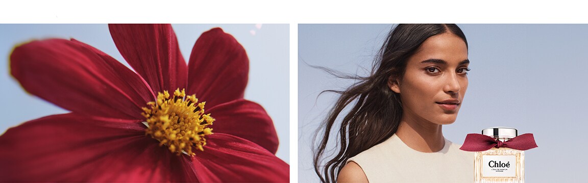 L’Eau de Parfum Intense, The new fragrance from the house of Chloé ...